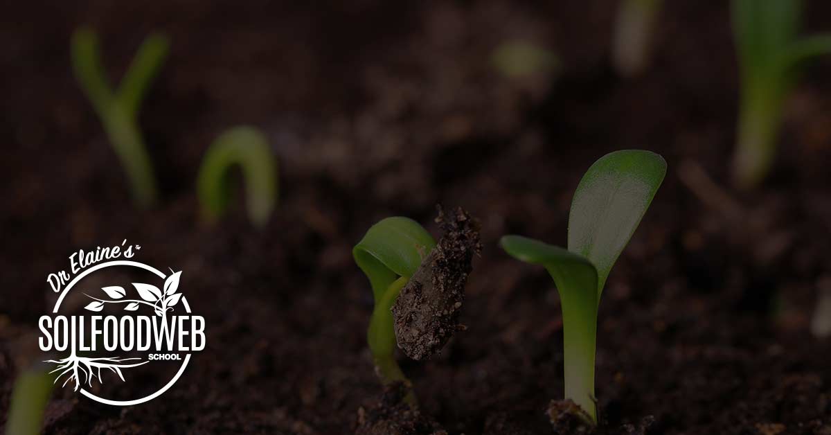 Dr. Elaine’s™ Soil Food Web School - PT - Regenerative Ag & Soil ...